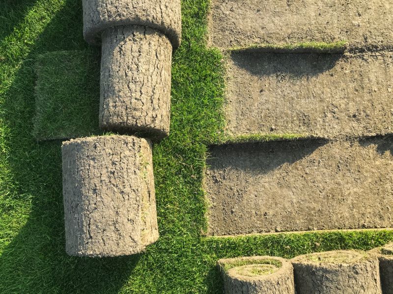 Efficient Sod Removal Services for a Clean, Healthy Lawn
